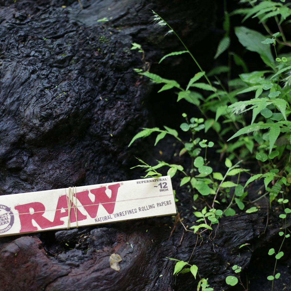 raw papers logo font