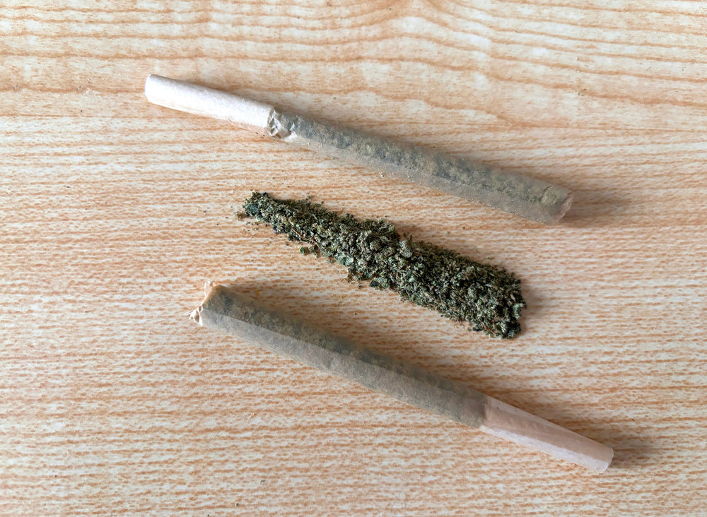 RAW vs Elements: Understanding the Key Differences